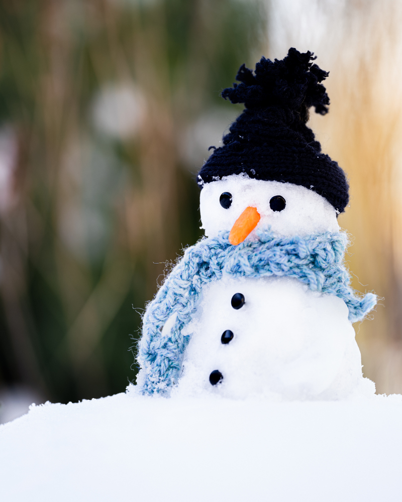 31-Day January Bucket List - Pretty in Poses